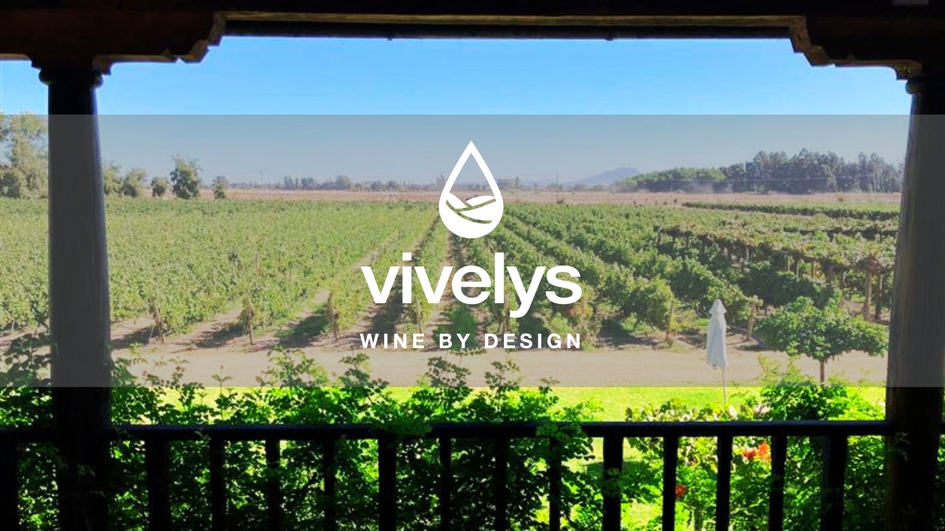 Vivelys helps winemakers produce the best wine | Vivelys